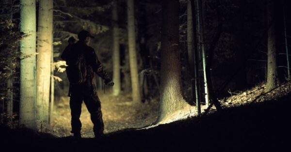 Static vs Dynamic Rope | Key Differences, Uses, and How to Choose